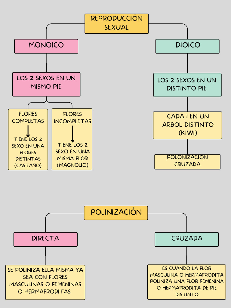 REPRODUCCIÓN | PDF | Sexo | Reproducción