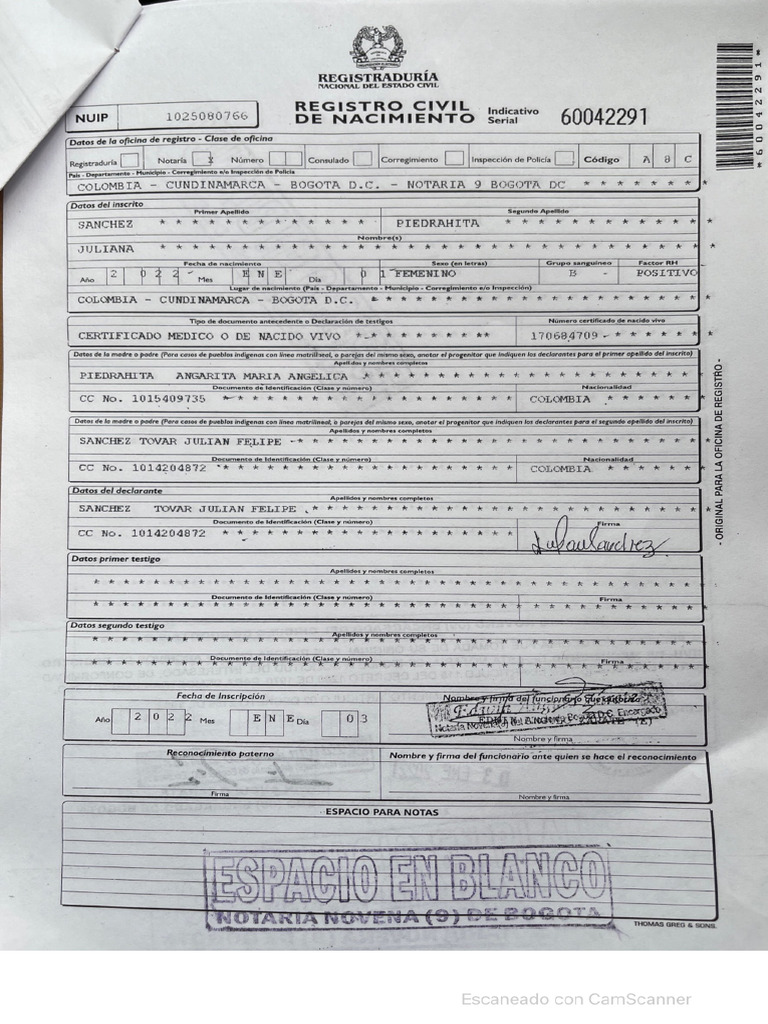 Registro Civil | PDF