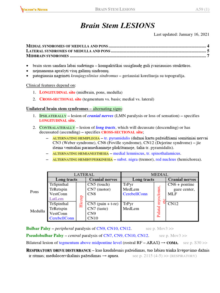 A59. Brain Stem LESIONS | PDF | Brainstem | Human Anatomy