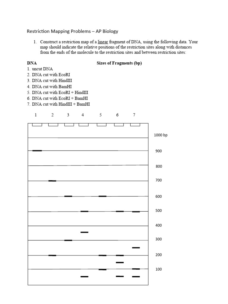 Restriction Mapping Problems | PDF