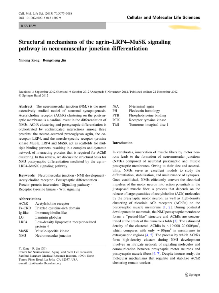 agrin-LRP4-MuSK Signaling | PDF