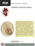 Función y Ubicación del Plexo Cardíaco | PDF