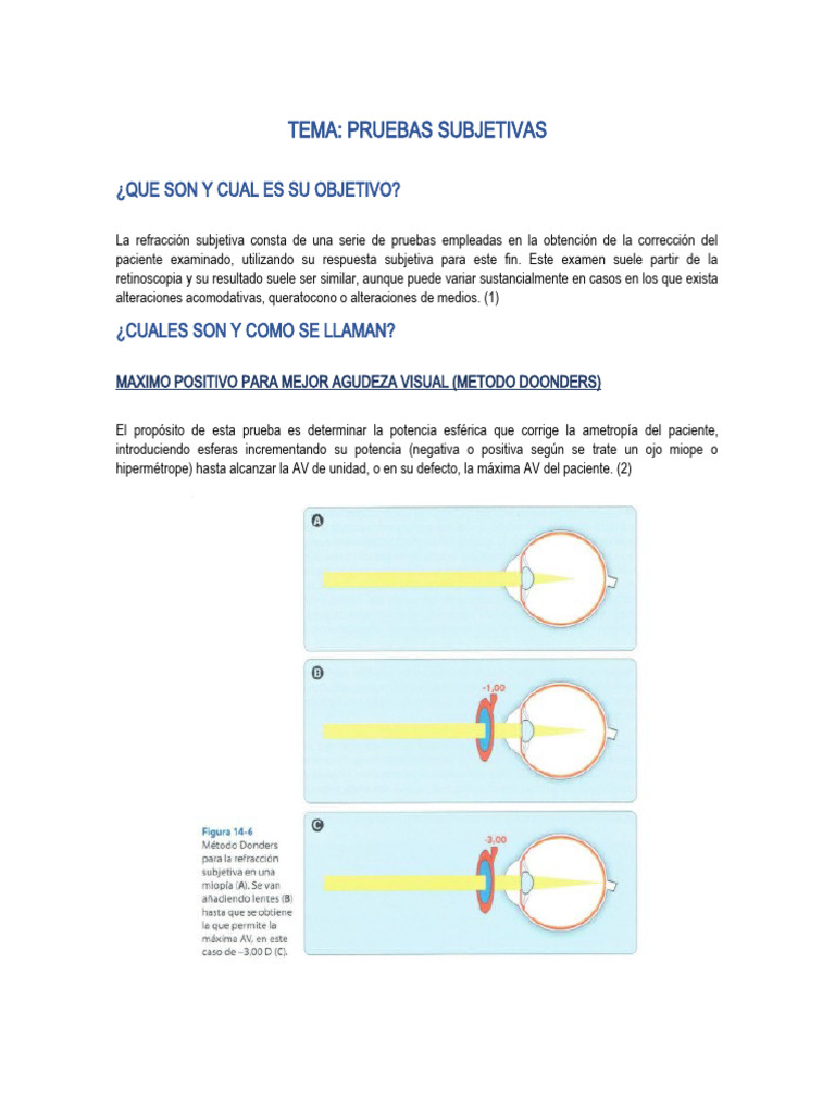 Pruebas Subjetivas Exposicion Final-1 | PDF