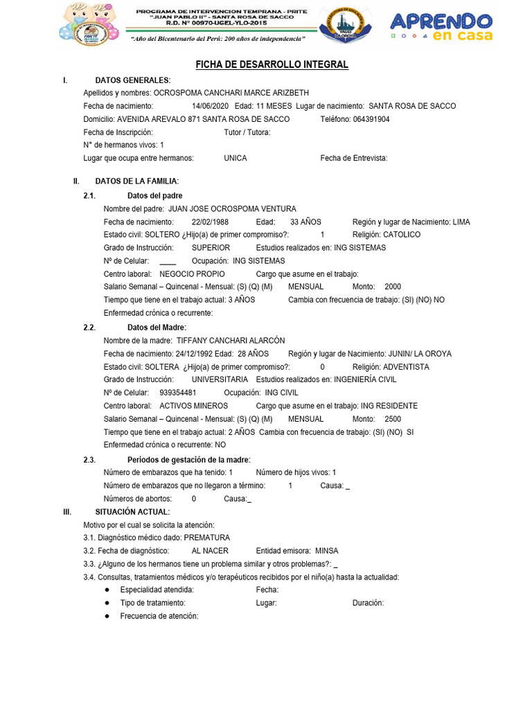 Formato Ficha de Desarrollo Integral | PDF