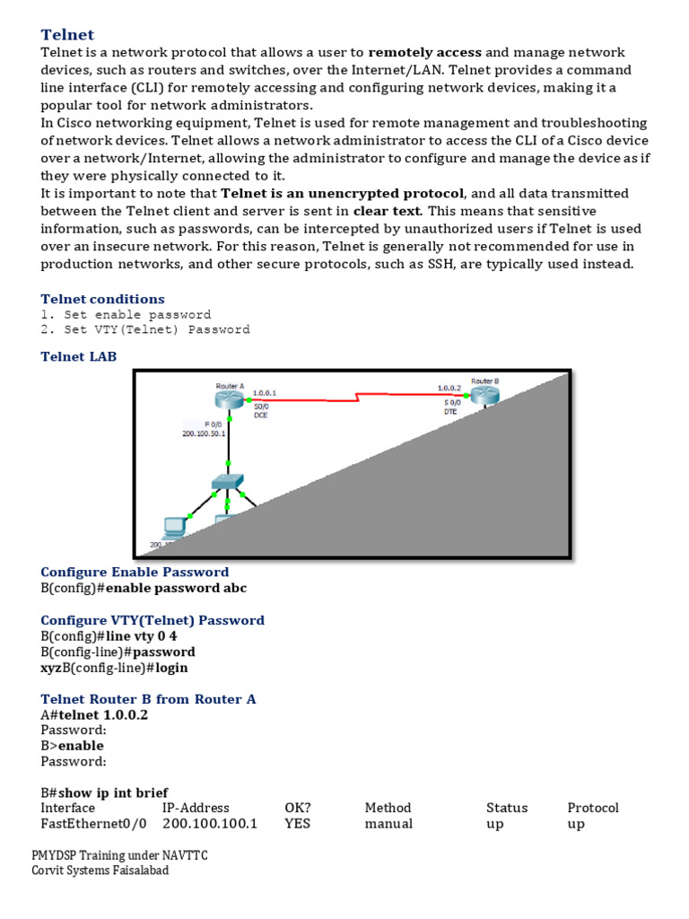 Lecture 18 Telnet | PDF | Internet Protocols | Information And Communications Technology