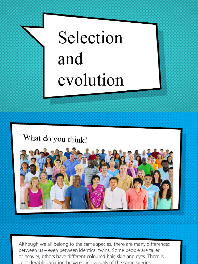 Selection and Evolution-Part 1 | PDF | Natural Selection | Meiosis