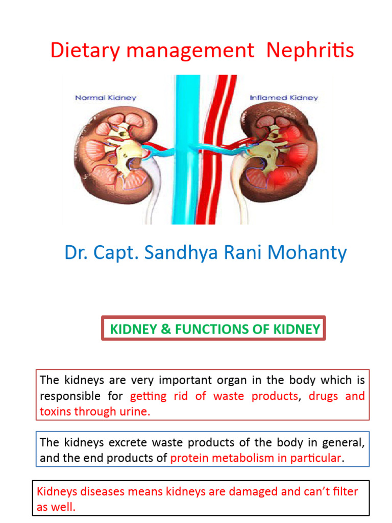 Dietary Management Nephritis | PDF | Kidney | Chronic Kidney Disease