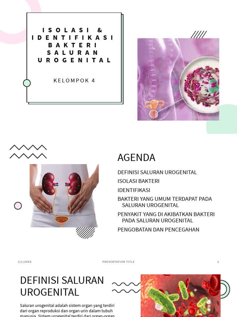 Isolasi & Identifikasi Bakteri Saluran Urogenital | PDF
