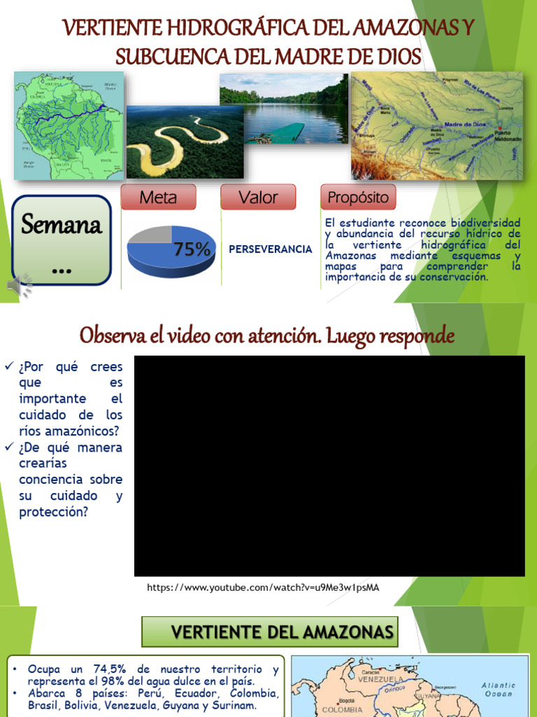 VERTIENTE HIDROGRÁFICA AMAZONAS Y SUBCUENCAS DE MADRE DE DIOS | PDF | río Amazonas | Perú