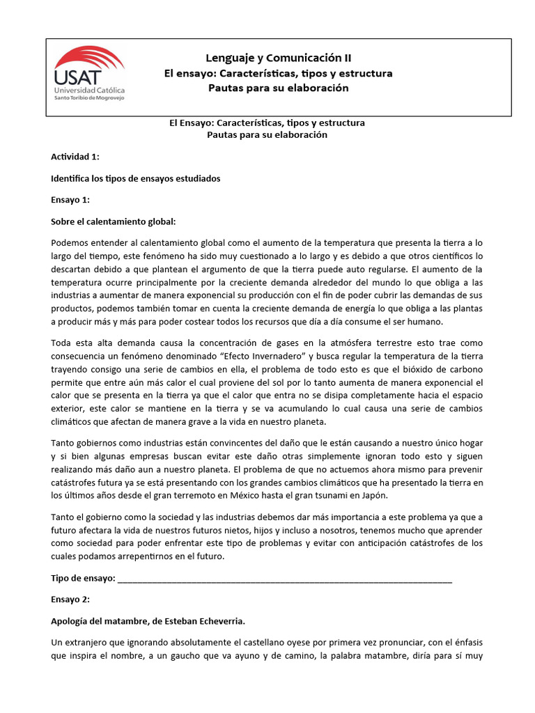Sesión 17-23 - El Ensayo - Caracteristicas Tipos y Estructura-Pautas ...
