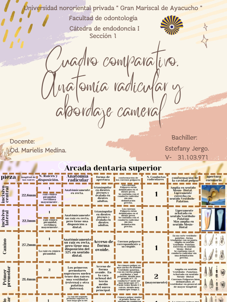 Cuadro Comparativo. Anatomía Radicular y Abordaje Cameral | PDF ...