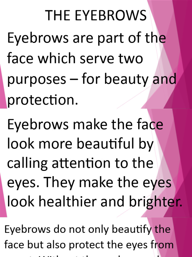 Exercise 1 The Eyebrows | PDF