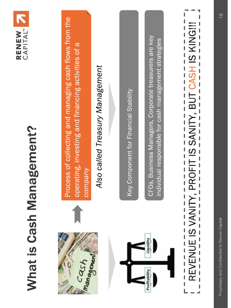 What Is Cash Management | PDF