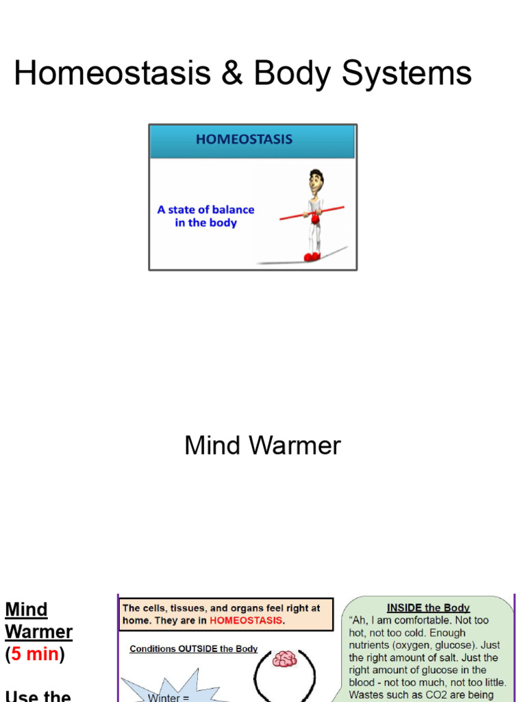 0 - Short Version - Wall Hunt - PPT - Homeostasis & Body Systems | PDF ...