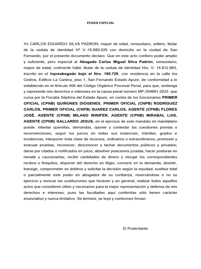Poder Especial para Representacion Penal | PDF