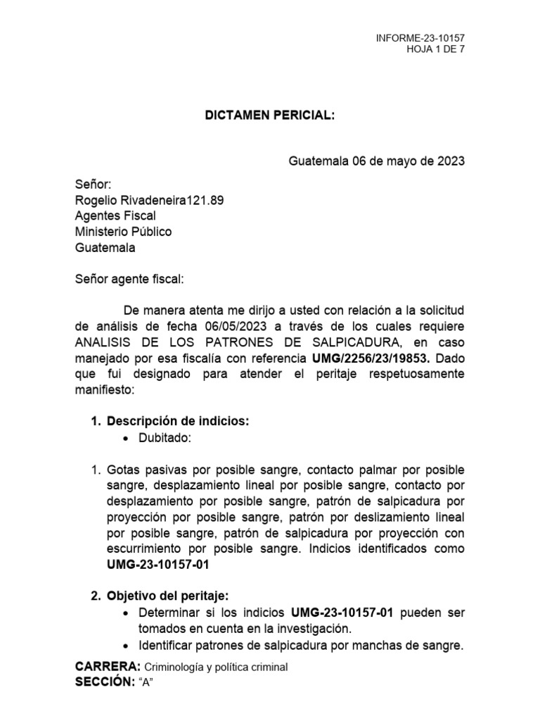 Dictamen Pericial | Descargar gratis PDF | Justicia | Crimen y violencia