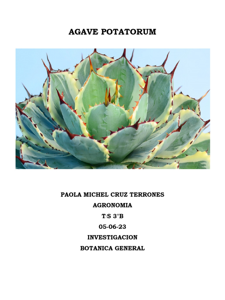 Agave Potatorum Investigacion | PDF | Plantas