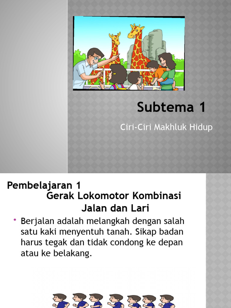 Subtema 1 | PDF