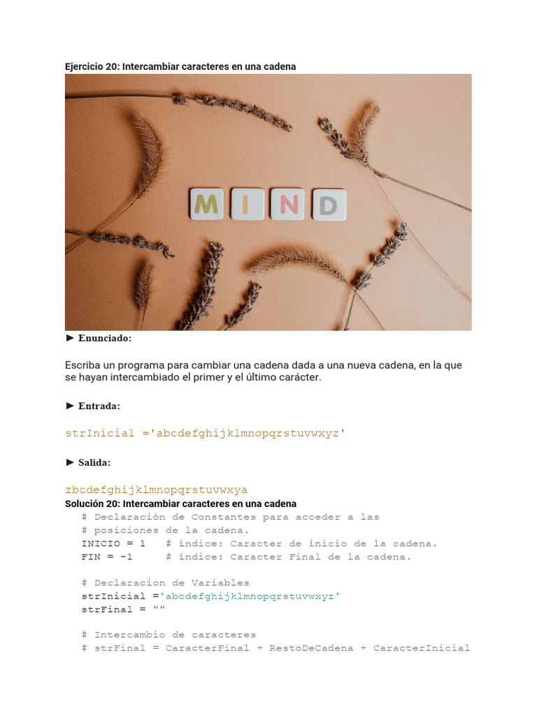 Ejercicios de Manipulación de Cadenas en Python | PDF | Cadena ...