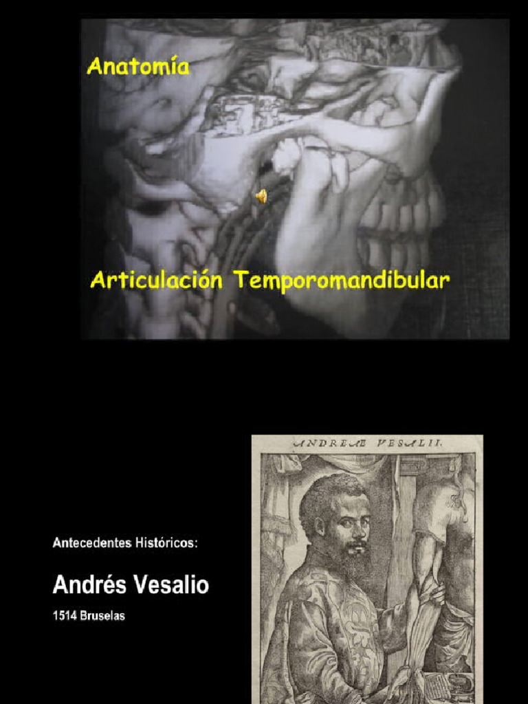 Anatomia de Atm | PDF