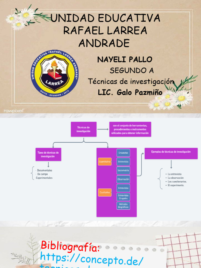 Tecnicas de Investigacion - Nayeli Pallo - Segundo A | PDF