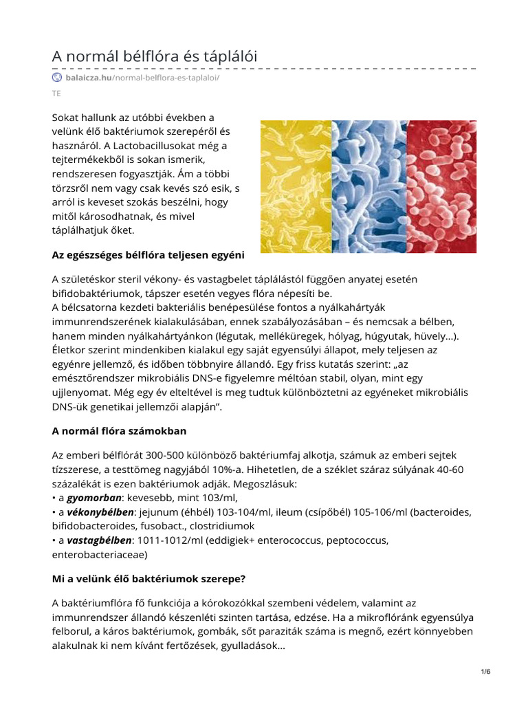 A Normál Bélflóra És Táplálói (Balaicza - Hu) | PDF