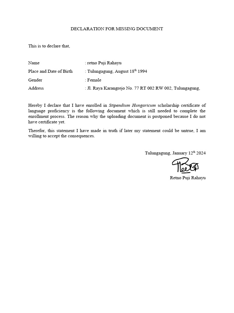 Declaration For Missing Document | PDF
