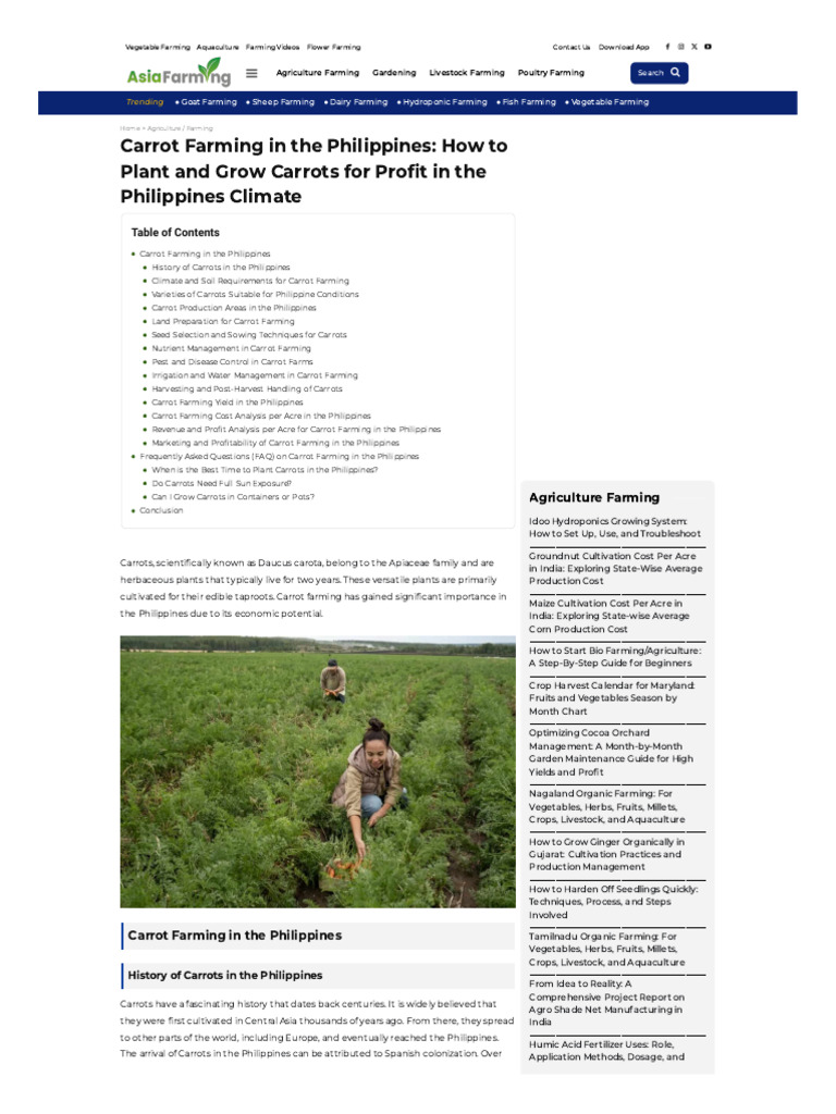 Carrot Farming Guide for the Philippines | PDF | Agriculture | Chicken