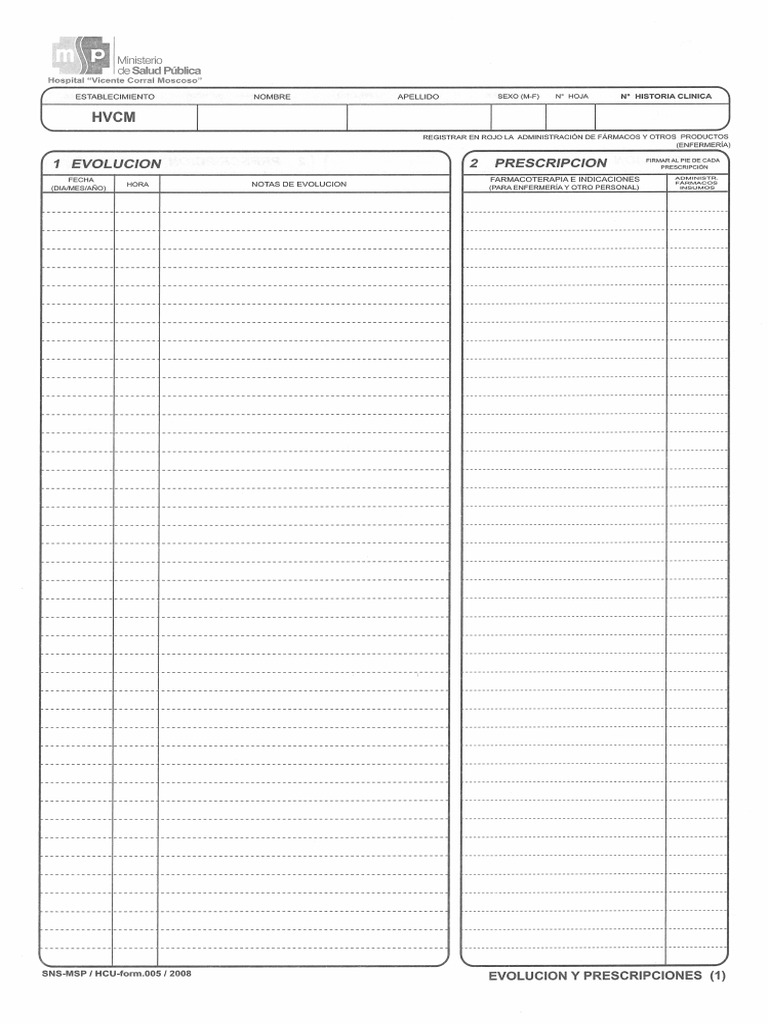 Hoja de Evolución MSP | PDF