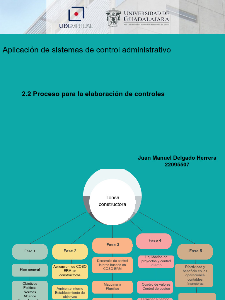 Organization Structure Chart Infographic Graph Pdf Business Economias