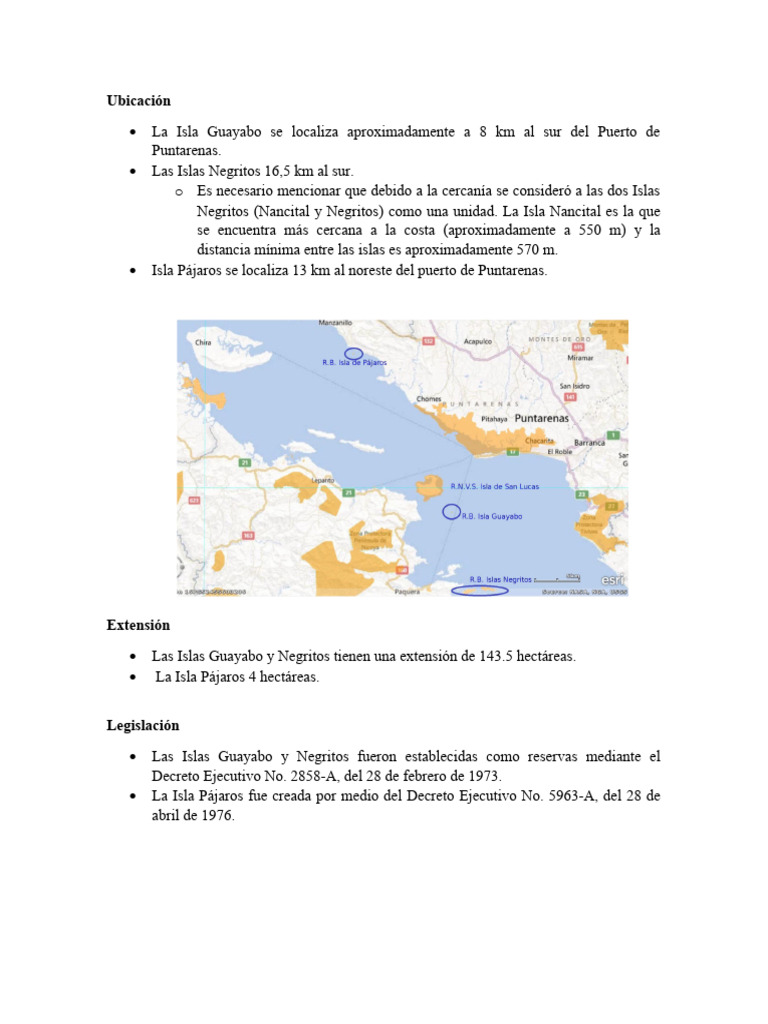 Reserva Biológica Isla Guayabo, Negritos y Pájaros | PDF | Aves | Coco
