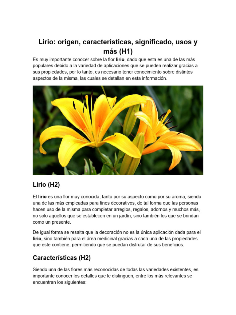 Lirio: Origen, Usos y Cultivo | PDF | Lilium | Flores