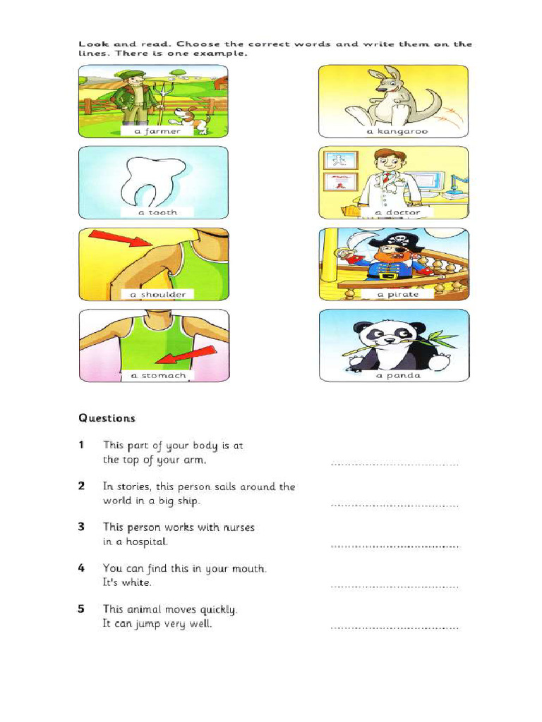 Mover Reading Test 2 Mover 2 | PDF