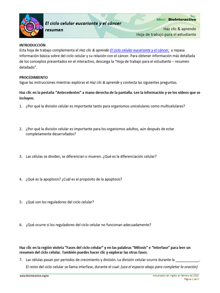 CicloCelularResumen Estudiante HCA | PDF | Oncogen | Mutación