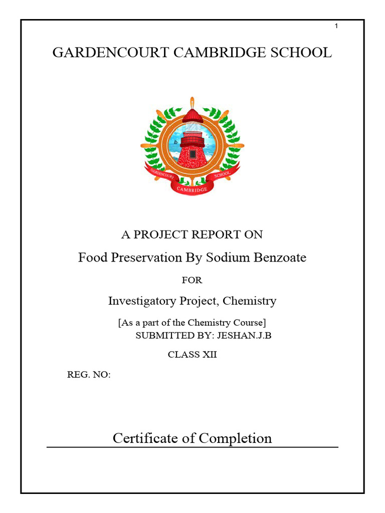 Chemistry Project | PDF | Chemistry | Materials