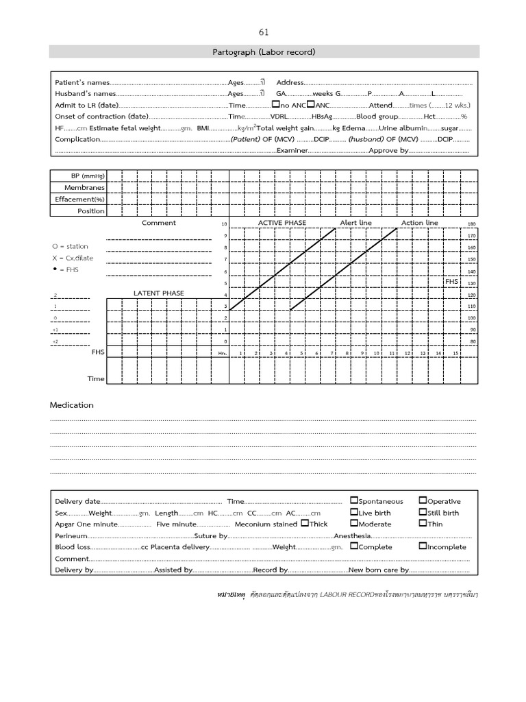 06 Partograph Labor Record | PDF