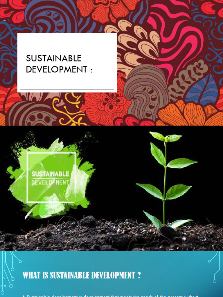 Sustainable Development | PDF | Sustainability | Sustainable Development
