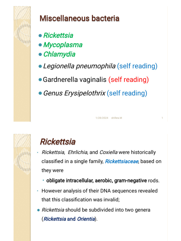 Miscellaneous Bacteria | PDF | Gram Negative Bacteria | Bacteria