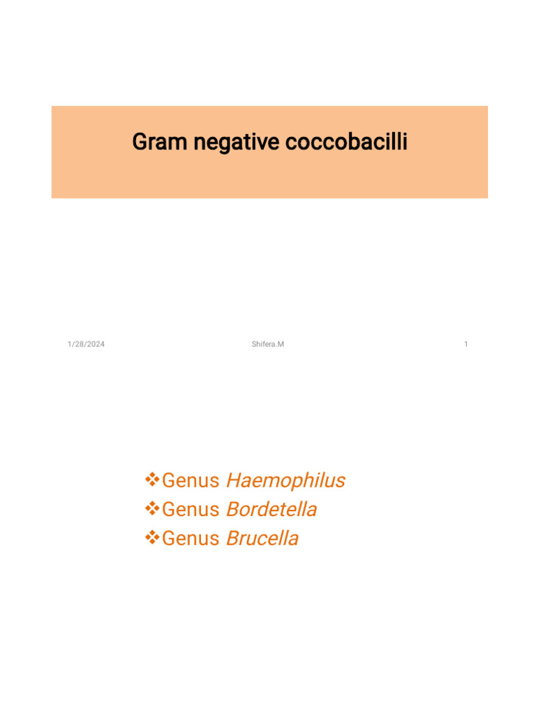Gram Negative Coccobacilli-1 | PDF | Technology & Engineering