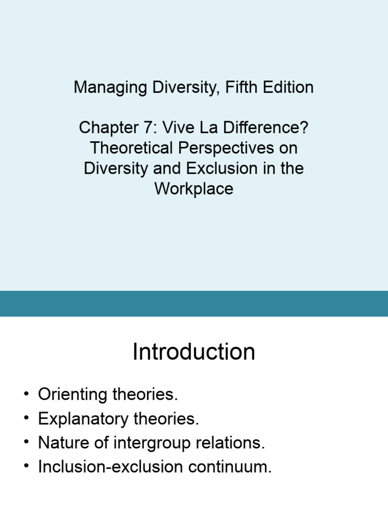 Mor Barak 5e Ch07 Presentation | PDF