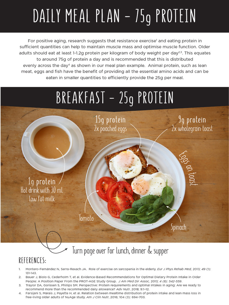 Daily Meal Plan For Older Adults | PDF