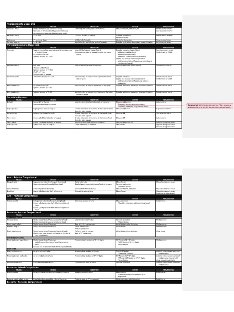 Muscle OIAN - Hand | PDF | Thumb | Shoulder