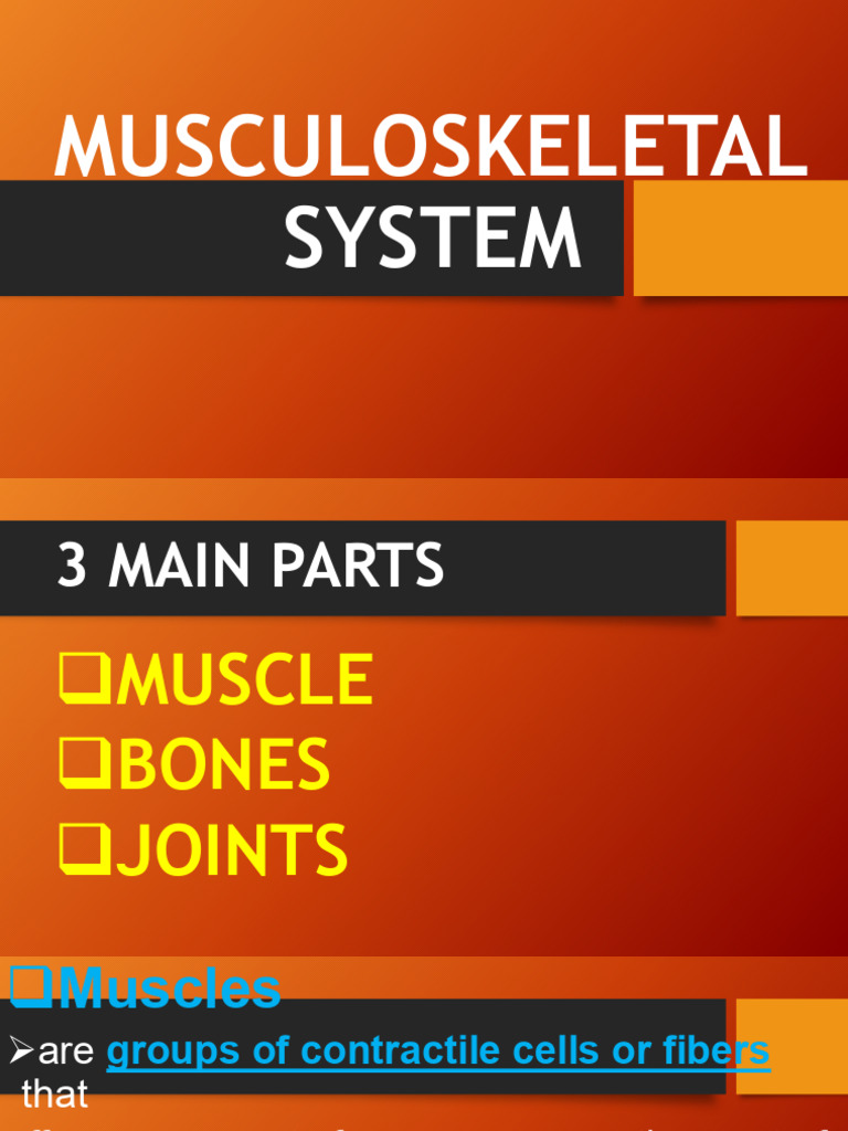 Musculoskeletal System | PDF | Anatomical Terms Of Motion | Elbow