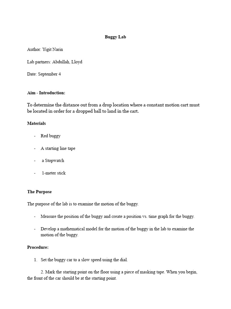 Buggy Lab | PDF | Velocity | Speed