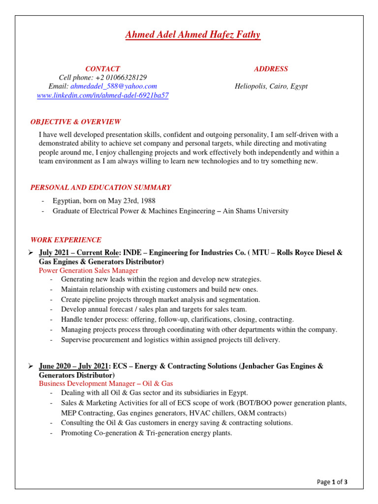 Ah - Adel CV | PDF | Sales