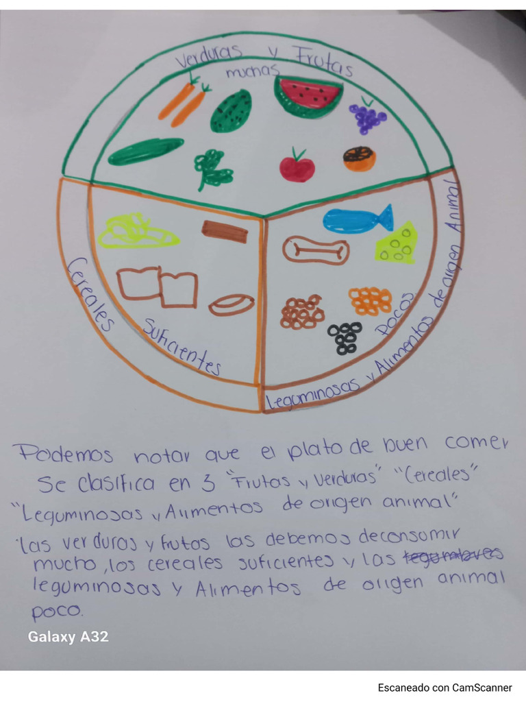 Plato Del Buen Comer | PDF