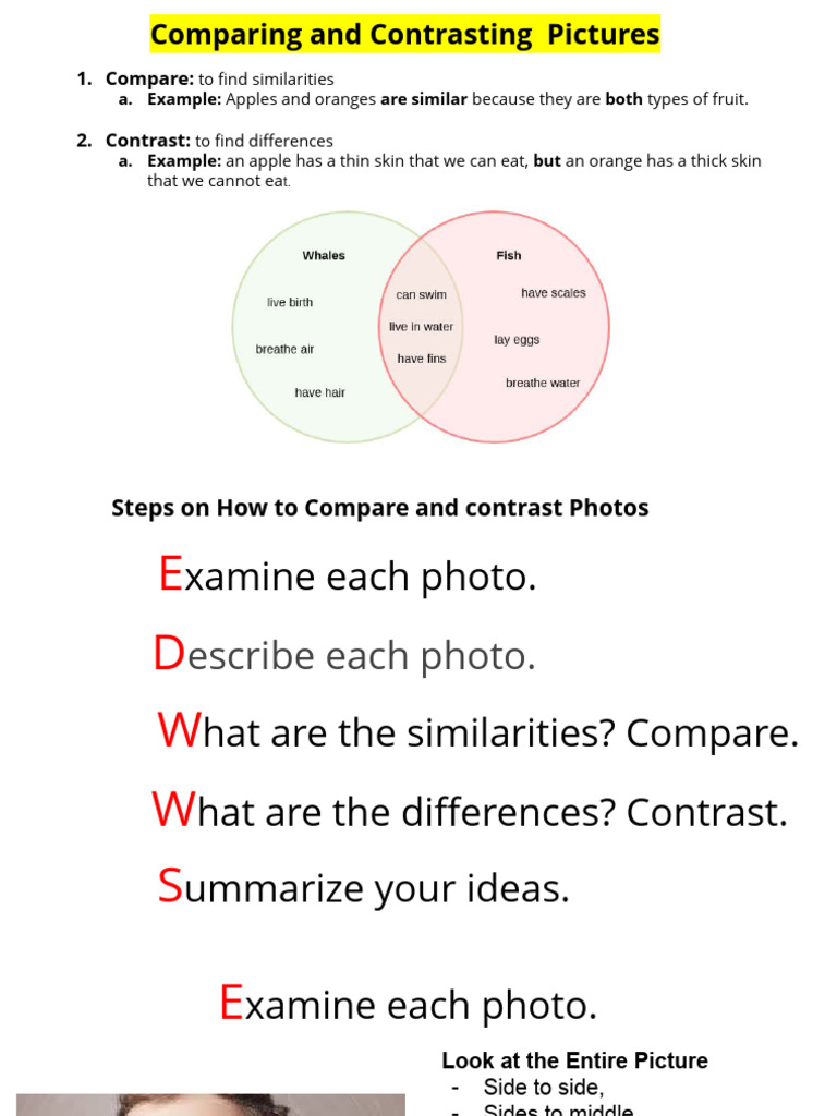 Comparing and Contrasting Pictures | PDF
