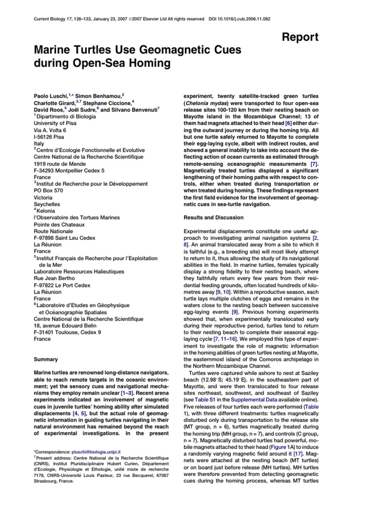 Marine Turtles Use Geomagnetic Cues During Open-Sea Homing: Pluschi ...