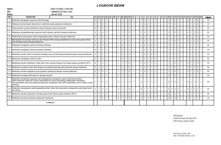 Logbook Kegiatan Bidan Januari 2023 | PDF