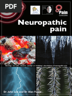 GMMMG Neuropathic Pain Guidance Final Version 8.2 For GMMMG Website | PDF